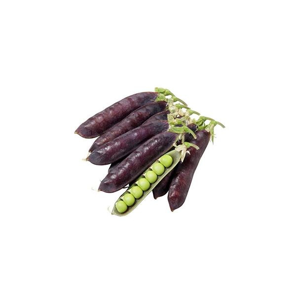 商品説明○エジプト王家、ツタンカーメンの墓から発見されたといわれるロマンあふれるえんどう豆。　○美しい花の後には紫色の莢をつける。　○莢は硬いが未熟豆は実豌豆として食べられる、ツル有り種。　○実豌豆として利用する時は緑色で、豆ご飯にして保温...