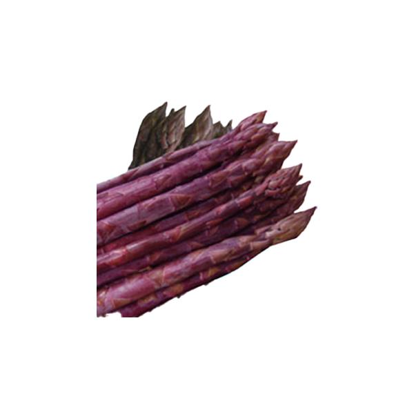 特性萌芽の先端から基部まで鮮やかな赤紫色のユニークなアスパラガス。茎は太くボリュームがある。基部まで柔らかい。グリーン種より甘味があり、食味は抜群である。鮮やかな赤紫色を活かし、サラダに向く。■容量は季節により変更となる場合がございますが、...