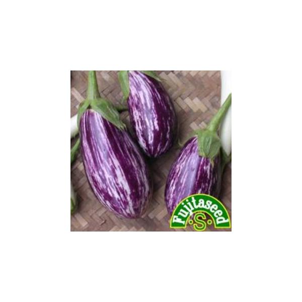 紫色と白色の縞模様が美しい、クリーミーで美味しい南フランス原産のナスです。 草丈３５cmと低く、実は長さ約１５〜２０cmになります。 実はオイルとの相性が良く、パスタ・ステーキ・揚げ物・肉詰め・グラタンなどにぴったりです。 とろけそうな味わ...