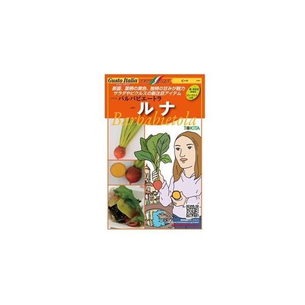 表皮がオレンジ色、断面が鮮やかな黄色になるビーツ。薄くスライスしてサラダの彩りにおすすめです。