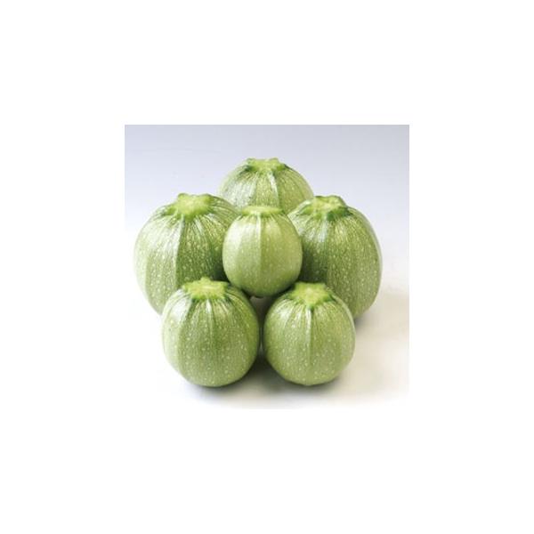 開花後３〜5日後の果実直径7〜８ｃｍで収穫。収穫の遅れは果実への傷や樹への負担になるため適期収穫を心掛ける。・生育初期から草勢が安定し雌花、雄花がバランスよく開花して次々の果実が収穫可能。・ウイルス病（ＺＹＭＶ）に強く、栽培しやすい。