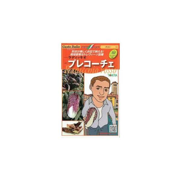 【特性】従来品種に比べ、揃い向上。収穫まで定植から70〜80日と早生。コンパクトな草姿でしっかり巻き、秀品収穫が期待できる。肉厚なのでサラダでは存在感が際立つ。また舟形の葉を皿に見立てて食材と合わせると美しい。半分にしオリーブオイルを塗りグ...