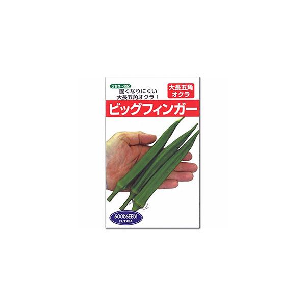 莢長20cmでもスジが入りにくく、柔らかい五角オクラ。　播種後50日で収穫の早生タイプで低節位から着莢する。　莢径1.8cm、莢長18cmの場合、莢重は約20gになる。　暑さに非常に強く、剛健で作りやすい。