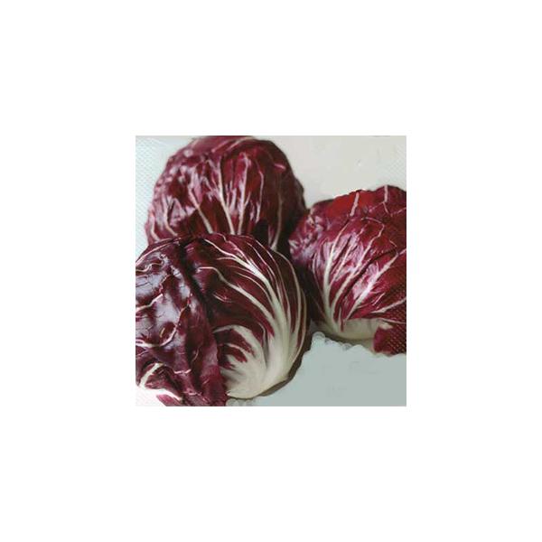 ●ヨーロッパ原産のチコリの一種でキク科の野菜です。　少し苦味のある風味で、濃赤と白のコントラストも美しくサラダに加えることにより風味、色彩ともに引き立てます。●定植後約55日で収穫できる極早生種で、球内色は濃い赤紫色となり、品質に優れ、揃い...