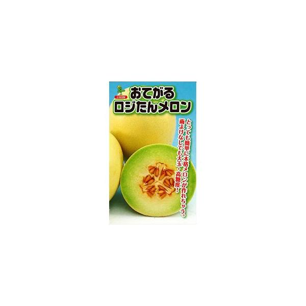 栽培容易で雨除けなし放任栽培でも収穫できる白皮ノーネットメロン。　登熟日数40日で極早生品種。　果重は1.5〜2.0kgで肥大性に優れる。　果肉は緑白色で緻密、糖度14〜17度。　収穫後の日持ちにも優れる。