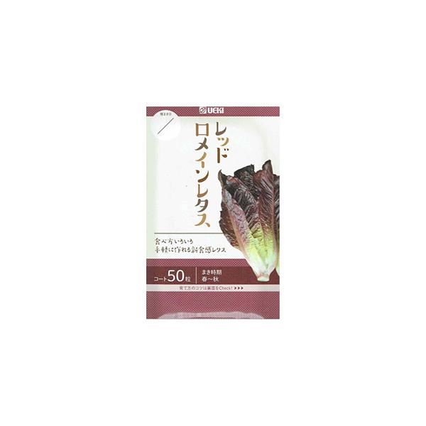歯切れがよい食感で、甘味の強い白菜型のレタス。　赤の発色が良く、栽培しやすい。シーザーサラダ、炒め物、しゃぶしゃぶなど食べ方は色々！