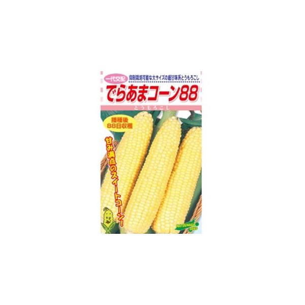 粒皮が柔らかくて、糖度の高い食味重視の極良質モノカラー(黄色)種です。　中間地のマルチ栽培では、播種後88日程度で収穫ができる。　中間地・暖地では、7月下旬?8月中旬まき10月収穫の露地抑制栽培も可能です。　雌穂は、包葉付きで420g程度、...