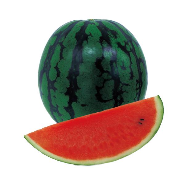 炭そ病耐病性を持ち、草勢もやや強めなので、特に露地産地で問題となり易い炭そ病による枯れや草勢低下を軽減できる。草勢強めではあるが、着果性は良く、蔓ボケの心配少ない。空洞果・裂果・うるみ果の発生少なく、収穫前まで草勢強めに残った場合も秀品性は...