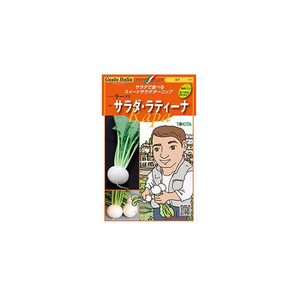 カブは古代ローマ時代から食べられていた野菜で貧しい人たちの食べ物とされていました。　そのため日本で一般的な形状のカブはイタリアではほとんど発達せず、葉と蕾を食べるチーマ・ディ・ラーパが定着しています。　本種は、日本で育種したカブですが、緻密...