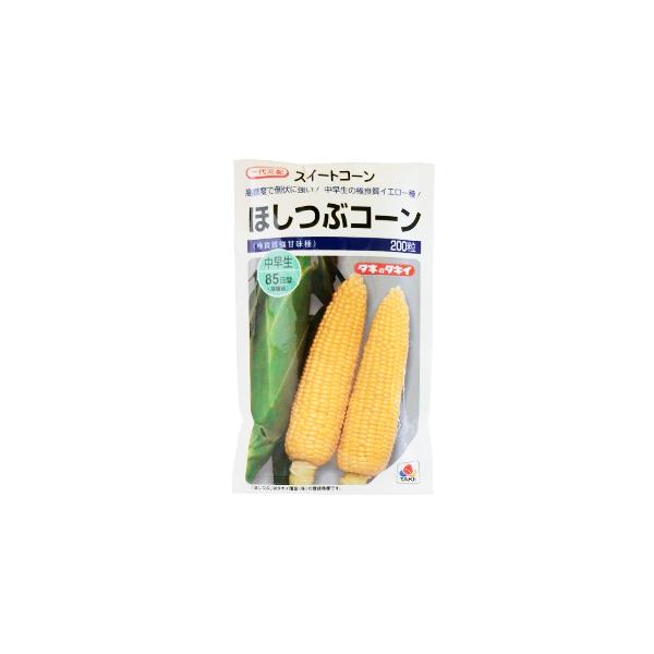 高糖度で甘みが強い。粒は光沢があってしなびにくく、店もち性にすぐれる。穂は濃緑で見ばえよく、苞葉付きで420g程度とボリューム感がある。草丈は170cm程度。主稈が太く、二次根の発達が旺盛なため倒伏に強く、生育ぞろいもよいため栽培が容易。■...