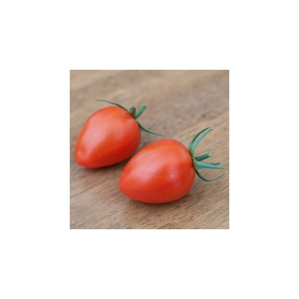 イチゴ形で良食味な果実が安定して生産される。元肥・樹勢に左右されず果形が安定。14?18果/房に安定した花数で着果性が高く樹勢維持能力も高い。軟果しにくく輸送性が高い。越冬長期栽培で低温管理可能。