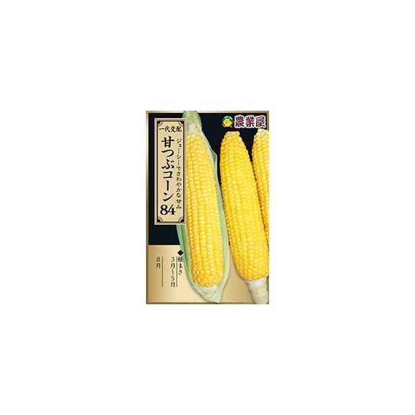 適期まきで種まき後８４日程度で収穫できるイエロー品種です。穂は３７０ｇ前後の食べやすい大きさに良く揃います。実はほとんど粒皮を感じさせないほどやわらかく、ジューシーで独特の莢やかな甘みが有ります。抑制栽培も可能。草丈は160〜170ｃｍ。