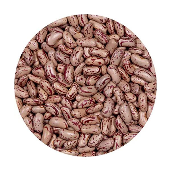 子実は長形のうずら模様で、煮豆にして美味しいです。つるなしの豊産種で若莢どりしても美味しく、若莢と実取り用に重宝します。■容量は季節により変更となる場合がございますが、価格に変更はございません。まとめ買いについて：メール便で10袋まで同梱で...