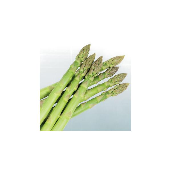 適応性が広い多収の全オス系品種。若茎は太くよくそろい、定植後2年目から高い上物率が期待できる。アントシアンの発生が少なく頭部の締まりは良好。草勢は比較的強いが、側枝発生が少なく茎葉が密集しにくいため管理しやすい。雌株が入らないため、種子着果...