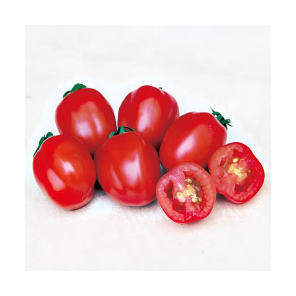 ベル型をしたキュートな外観のミニトマト。低段での果重は「ルージュ・マンダリン」は果重20g前後、「シトロン」はやや大きく25g程度。長期作における平均は15〜20g程度となる。糖度は平均８度以上。いずれも甘さが秀逸で酸味控えめ。果肉の食感は...