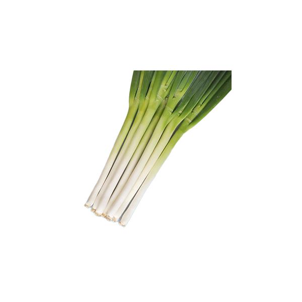 ・黒柄系晩抽系F1一本ネギ。・4月収穫の春ねぎ作、トンネルを用いた5月6月収穫の初夏ねぎ作のどちらにも好適。・特に6月の初夏ねぎに見られる首部の緩みが無く、市場性の高いネギが出荷可能。・葉は濃緑色で首部も丸く硬く仕上がる。・春ねぎ作での坊主...