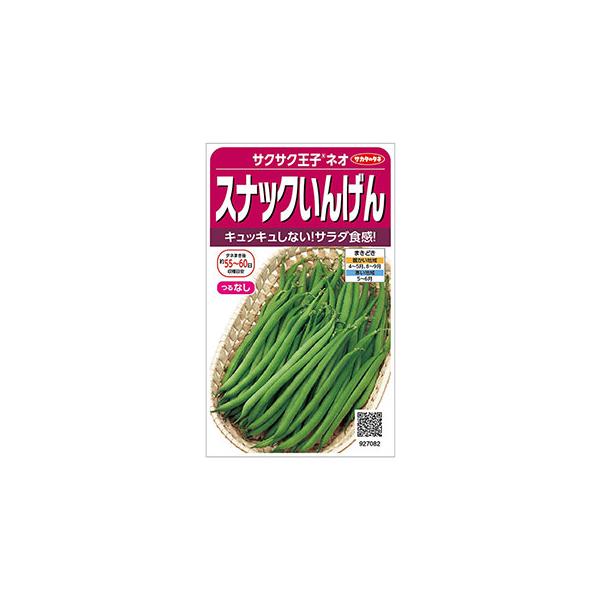 長莢タイプで長さが約15〜17cm、幅は8〜9mmの丸莢。　莢が長いことで、既存品種との差別性を図り、おいしさの目安として認識しやすくした品種。　　「サクサク王子」よりもコンパクトな草姿で、スジの発生が非常に遅く、一斉収穫にも向く。　葉の大...