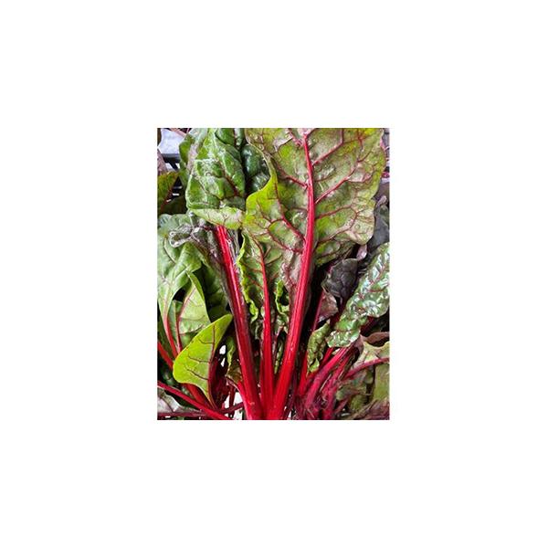 (1)病虫害に強く、生育早く、栽培も容易で、プランターでもできます。１〜２cmの深さで３０〜４０cm条間に種まきし、７〜８cmの大きさに育った頃、２０〜３０cm株間に間引きもしくは移植して育てます。(2)大きくなってくれば外葉から順次かき取...