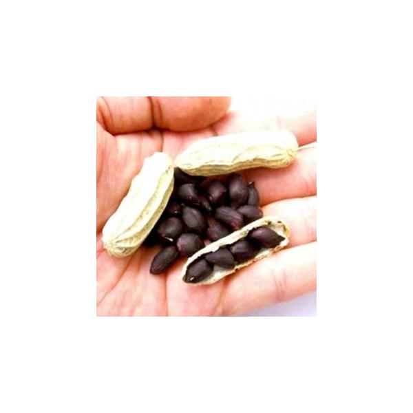 珍しい黒い薄皮には、ポリフェノールの一種であるアントシアニンがたっぷり含まれています。育て方＆食べ方は通常の品種と同じ。