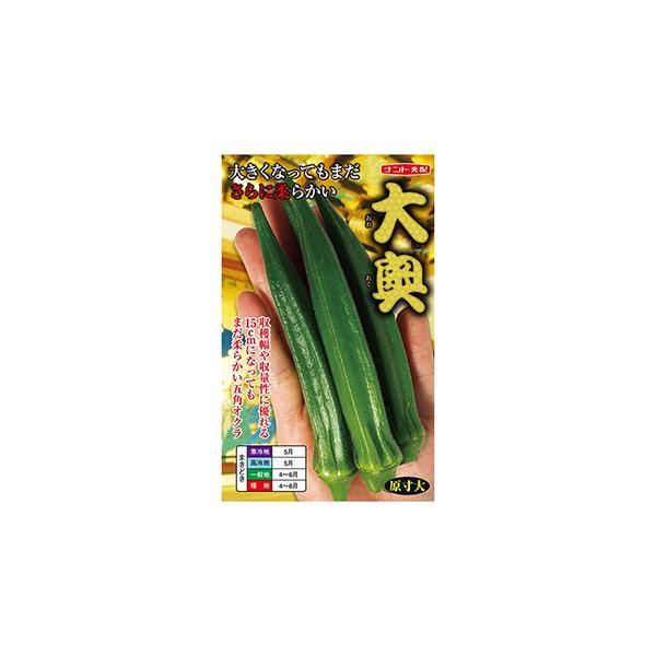 大きくなってもさらに柔らかい！ 収穫適期がさらに長くなり、収量性大幅アップした改良版。通常より２日ほど収穫を遅らせ、長さ15cm程度で収穫しても柔らかく、更に収穫適期が長い。 果形はやや細身の五角形。果皮色は濃緑で一般品種と比較して、果色が...