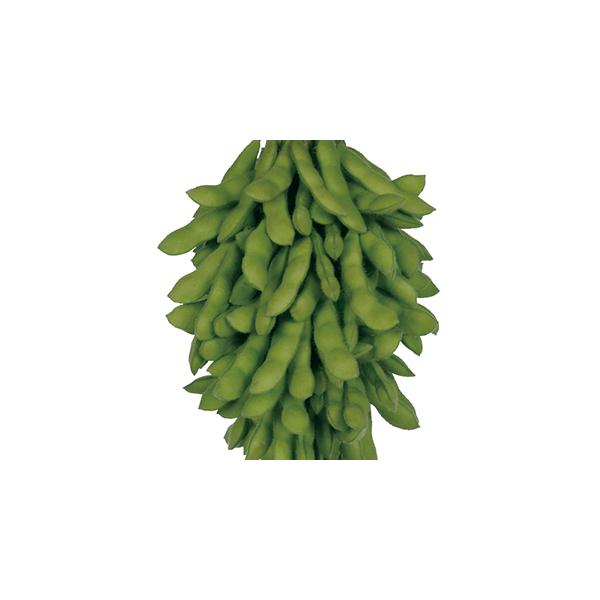 特性・特徴・小葉で草勢がおとなしく、主茎が短いためコンパクトにまとまる。・大莢で3粒莢の割合が高い。・茶豆の風味・甘みがあり食味は良好。■容量は季節により変更となる場合がございますが、価格に変更はございません。この商品はメール便不可です。宅...