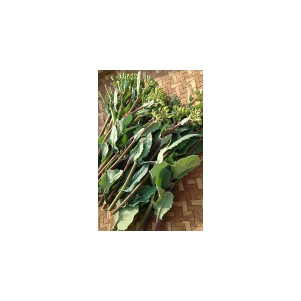 江戸時代から関東に根付く伝統野菜。スーパーではなかなかお目にかかれない貴重な野菜。炒め物や煮物に。自然農法で栽培された国産の種。