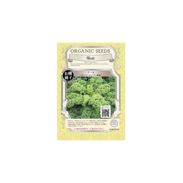 青汁といえばケール。育てやすい健康野菜。主に冬場に収穫する。