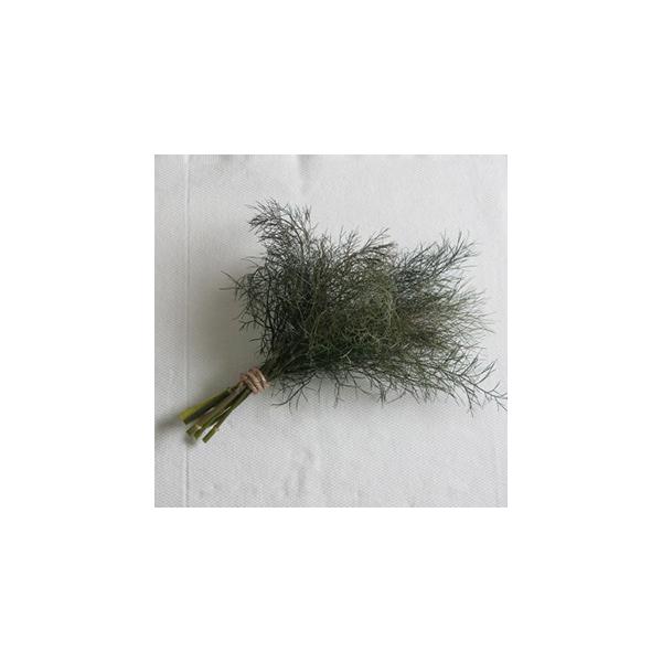 ブロンズ色の葉がきれい。葉を収穫するタイプで抽苔しにくく育てやすい品種。