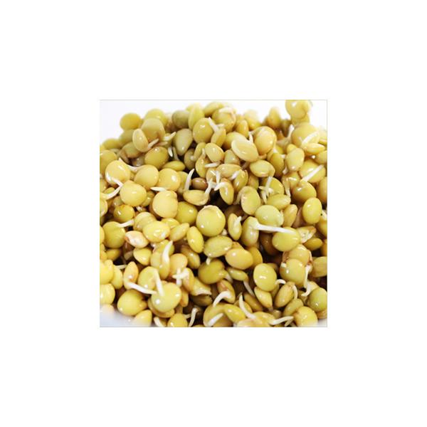 生でポリポリ、煮込んでトロリ。発芽直後を生でサラダに、煮込んでスープにしても美味。発芽したら豆ごと食す。種まきから数日、少し芽が出たら収穫。緑色タイプ。