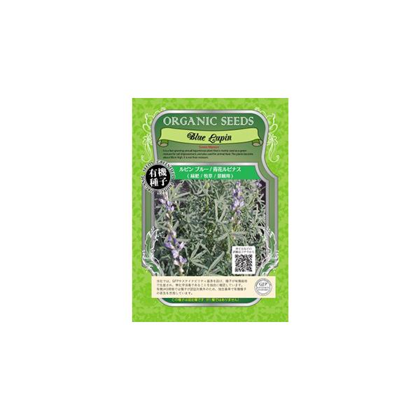 種まき時期が長く、施設栽培では秋・冬の種まき可。土壌改良や動物用飼料としても。景観用として青い花がきれい。