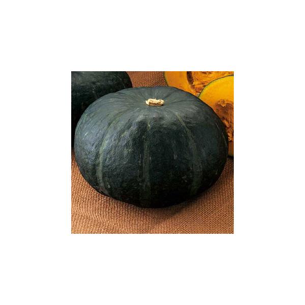 うどんこ病耐病性（特許第6306252号）をもち作りやすさが格段に向上。うどんこ病に耐病性のため、栽培後半でもつるもちがよく品質が安定する。果重は1.7〜1.9ｋｇで着果がよく、果実肥大力にすぐれるため多収。肉質は粉質と粘質の中間質。甘みと...