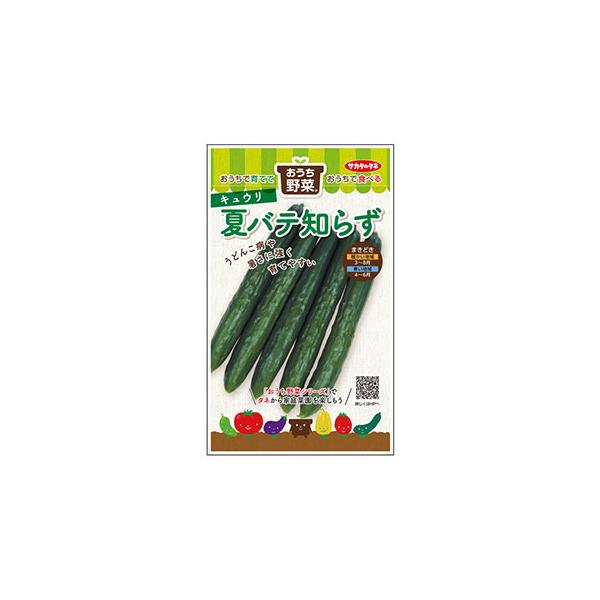 うどんこ病などの病気に強く、梅雨明け後も株がバテにくく、長期間収穫できます。初めての方でも育てやすい品種です。果長20〜22ｃｍが収穫の目安です。播き時期寒冷地：4月中旬〜6月下旬中間地：3月下旬〜7月下旬暖地：3月上旬〜8月上旬■●容量は...