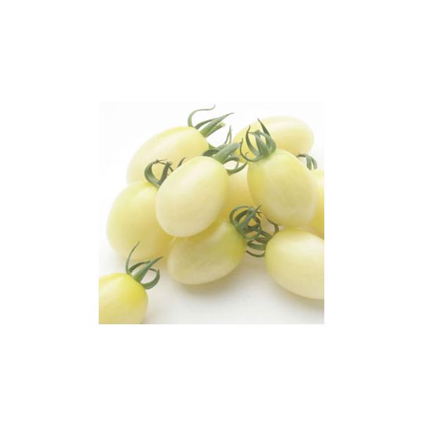 クリームイエローのプラム型ミニトマトです。肉質はややもっちりしており甘みもあります播き時期：2月下旬〜5月上旬■●容量は季節により変更となる場合がございますが、価格に変更はございません。 ●メール便で10袋まで同梱できます。