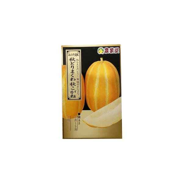 7月まき、9月中下旬収穫に向く品種です。もちろん通常の春まき栽培も可能です。果皮が濃い黄色で白い条が入る銀泉タイプのマクワウリです。重さ500〜700ｇで果肉が厚く、肉質はシャッキリとした歯ごたえが有ります。糖度は14〜15度で食味良好です...