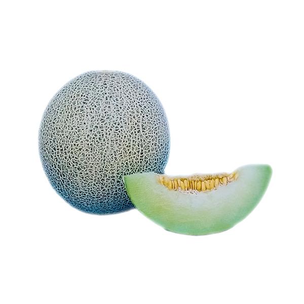 ネットの発現期、成熟期の烈果少なく商品化率が高い。果形はやや腰高。アムス、デリシイよりやや大果となり、果重は1.2〜1.5kg、果皮は濃緑色でデリシイよりやや密にネットが出る。果肉は緑色で厚く、しまりよく、発酵しないので遠距離輸送が可能。肉...