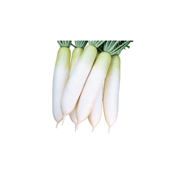 とう立ちが極めて遅く、秋から春にかけて長くタネまきができる青首総太りダイコンです。肥大性に優れ、曲がりが少なくて抜きやすい、肌がきれいな品種です。■容量は季節により変更となる場合がございますが、価格に変更はございません。まとめ買いについて：...