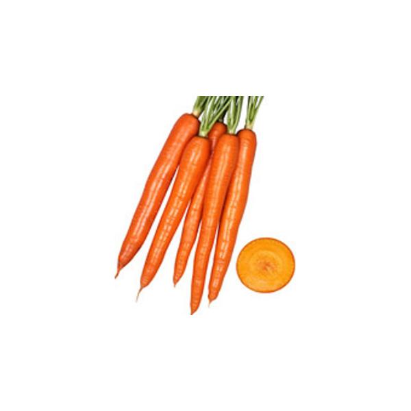 １．播種後120日前後で収穫する春・夏まき兼用のニンジンです。根長は20〜25cm、根径は2〜3cmとなり、揃いも良好です。２．根部は色鮮やかで、内部まで美しく色づきます。彩りを活かして、サラダやジュースに利用します。３．内部まで色づいたら...