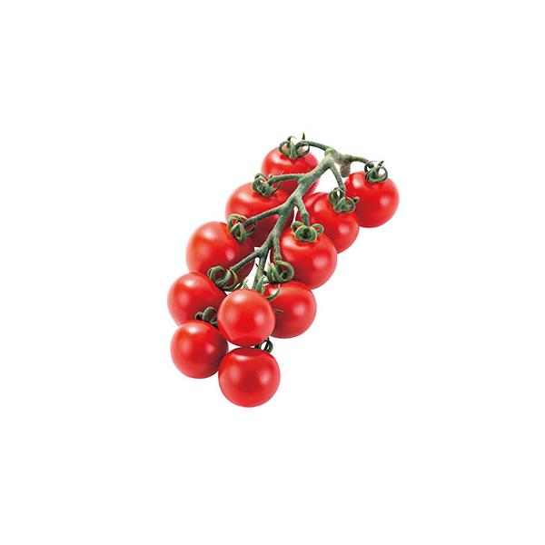 特性 　・ミニトマトの甘さと大玉トマトの旨さを持ち食味極良です。　・極端な節水管理を行わなくても糖度が高いトマトが作れます。　・果形は豊円〜球形、一果重30g程度で、8〜12個着果します。　・草勢はやや強く、栽培の後半まで草勢を維持しやすい...