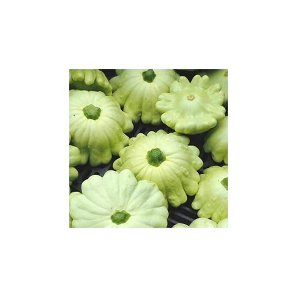 実は大きくしないで直径約７〜８ｃｍで収穫すると皮も柔らかく味わえます。炒め物や天ぷら、スープなど様々な料理に利用します。■●容量は季節により変更となる場合がございますが、価格に変更はございません。●まとめ買いについて：メール便で10袋まで同...