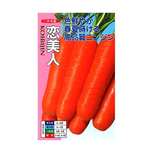 晩抽性は安定しており、冬・春蒔きとして幅広く播種できる。表皮・肉色ともに濃鮮紅色となり甘味が強く、サラダ等の生食から煮炊き・炒め物まで調理の種類を問わず美味。根形はつまり早く円筒形で、根長17〜18cm・根重約200gで揃い抜群。適期蒔きに...