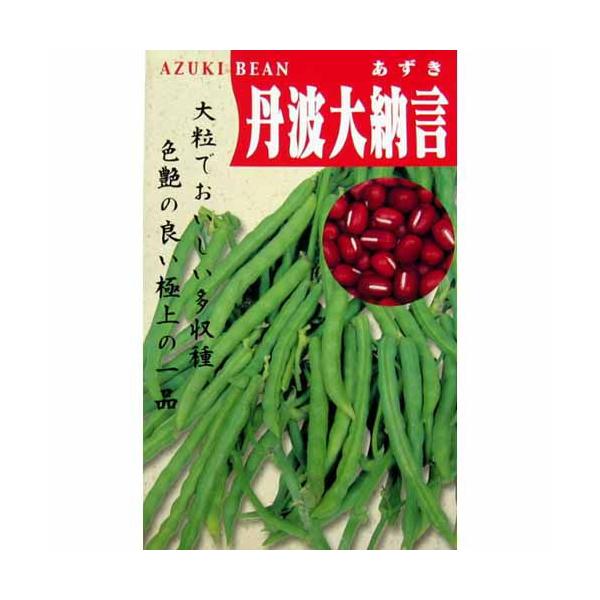 子実は長楕円形で烏帽子型のごく大粒。種皮は鮮やかな紫赤色を呈し、いわゆるアズキ色。草丈は60cm程度で、茎が太く、分枝数の多い、多収性に富んだ晩生種。粒のそろいと光沢がよく、煮ても皮切れがなく、香りに富む。一般平暖地の7月上中旬まき→8月下...