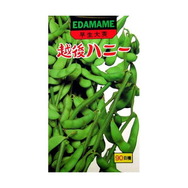 枝豆の中でも最高の甘味・香りをホコリ生食はもちろん冷凍貯蔵に最適。サヤは濃緑色、毛茸はウス茶色、草丈60〜65cm余りでプロからアマチュアまで栽培容易。 ■容量は季節により変更となる場合がございますが、価格に変更はございません。 メール便で...
