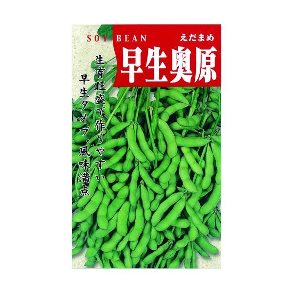 最も人気の高い早生の大莢種。播種後約70日で収穫ができる。白花で莢は密につき、収量が多い。草丈は約50cm。葉の大きさは小。莢は濃緑色で3粒莢率が高く、粒の肥大がよくてボリューム感があり、市場性が高い。 豆は甘味があり、風味豊かで食味最高。...
