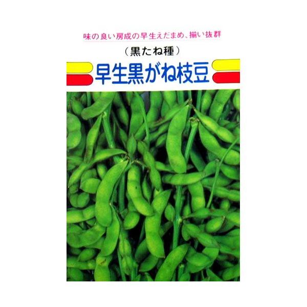 草勢は旺盛で分枝多く、草丈は45〜50cmとやや低い。葉は濃緑色を呈し、熟度が進んでも退色はない。祭壇に特色は、黒豆特有の芳香風味に富み、食味が特に良い。3粒サヤが多く、上物比率が高い。環境適応性の幅広く、すべての作柄に向く。 ■容量は季節...