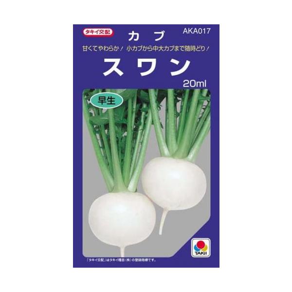 小かぶから中大かぶまで随時どりができる。小かぶとしても形質がすぐれ、本命の中大かぶどりでは、ややへん円の根形で尻づまりがよく、ス入りも遅い。肉質やわらかで甘みがあり、漬物のほか、サラダ用に通用する良質性が最大の特長。病気にも強く、むやみな葉...