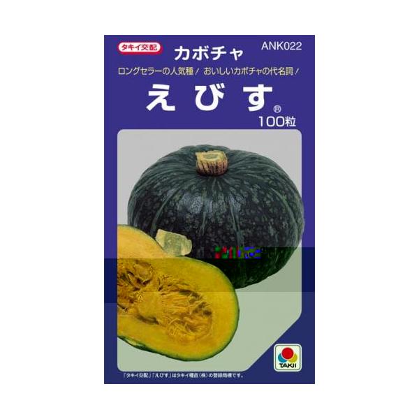 果重1.7〜1.9kgで、果形はへん円球なで肩。果皮は濃緑地に美しい淡緑色のチラシ斑が入り、外観が新鮮。初期着果の果実にも変形果が少なく、よくそろう。果肉は濃黄色で厚く、肉質は粘質がかった粉質で、食味良好。強勢で低温下でもつる伸びがよく、早...