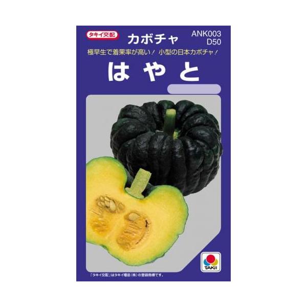 低温時期のつる伸びがよく、極早生で、着果率の高い小型の菊座型カボチャ。果重700〜800g。果皮は濃黒緑色で美しく、果ぞろいが極めて良好な多収種。果肉の着色がよく、日本カボチャとして非常に美味。開花後25日で可食期となり、30〜35日で完熟...