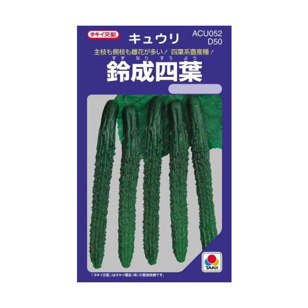 雌花が特に多くて、側枝が節成りに近いため、早生で早くから多収できる四葉系キュウリ。果実はイボが多くて、肉質がよくしまり、歯切れがよい。平均果長は約26cmで、果面に少しシワを有するが、曲がりが少なく、秀品率は高い。漬物加工向けに最適。側枝の...
