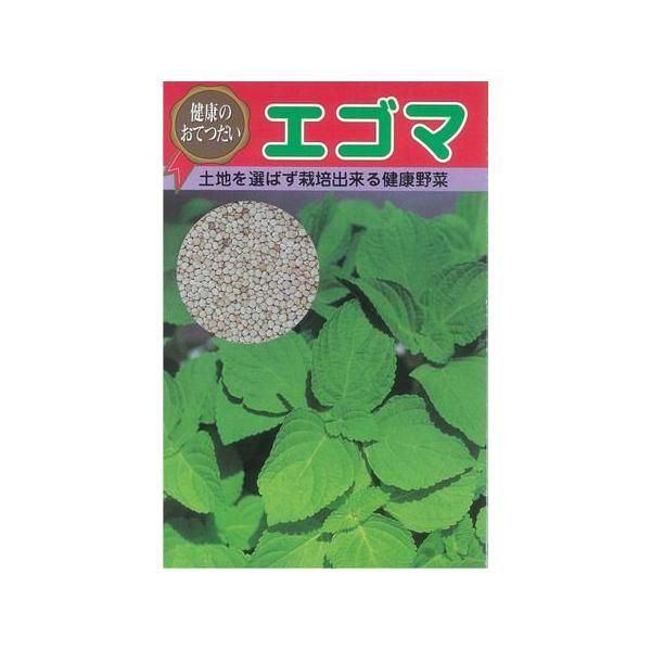 草勢は、野性的で、茎が太くて倒伏もなく、いたって作りやすい。エゴマに含まれるα-リノレン酸が成人病に有効で、学習力や記憶力を高め、ボケ防止にお役立ちます。 ■容量は季節により変更となる場合がございますが、価格に変更はございません。 メール便...