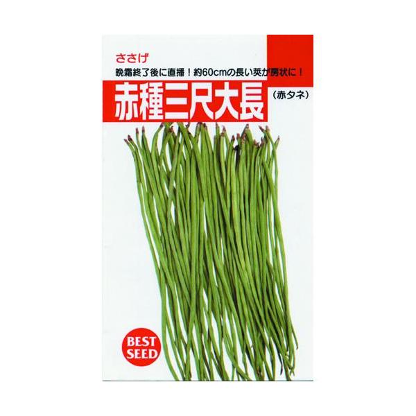 非常に強健で土地を選ばず、暑さに強くて作りやすい豊産種。莢は淡緑色で房状につき、長さは約60cm。莢はやわらかで栄養価も高く、おひたしや、油炒めなど、夏の栄養野菜として重宝。つる性で、草勢は極めて強く、分枝が多くて、葉はやや大きい。 ■容量...